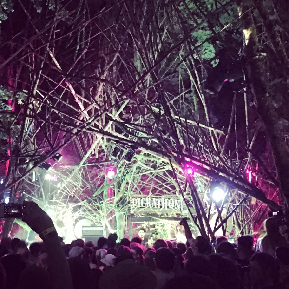 What was your first concert? - Aurora Elixirs